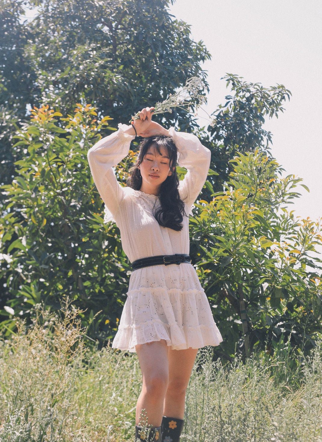 About – Silky Rabbit